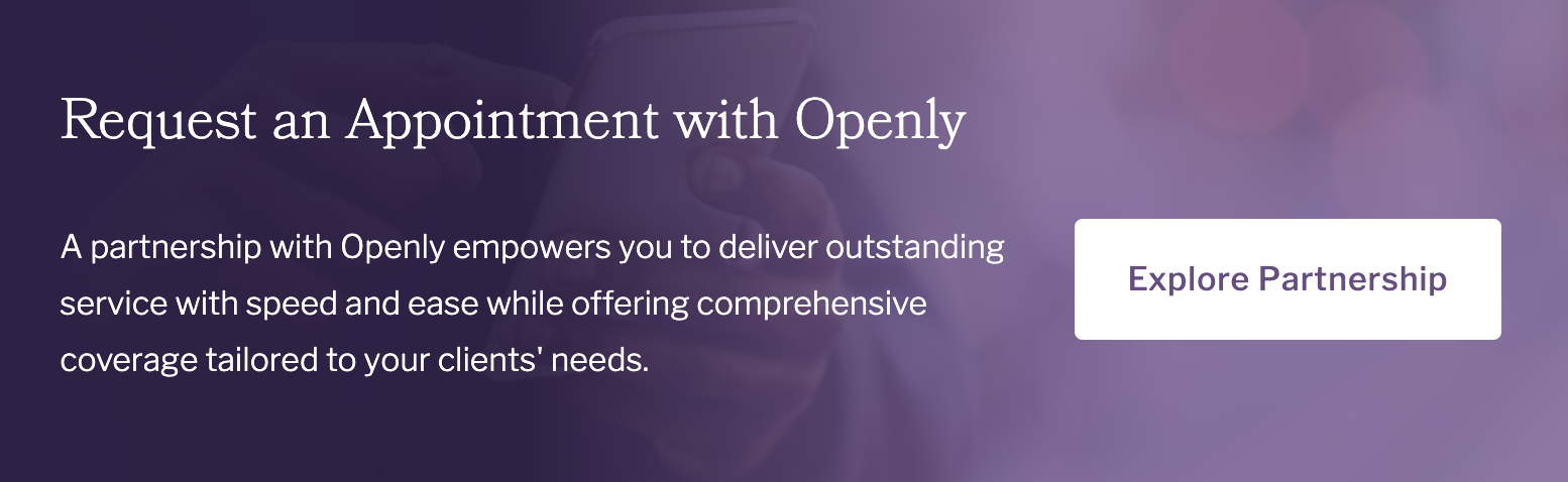 Best Insurance Companies for Agents 2025 | Openly