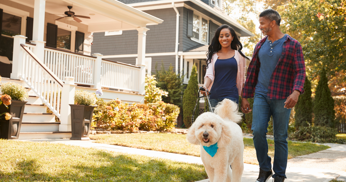 Premium Home Insurance Provider | Openly